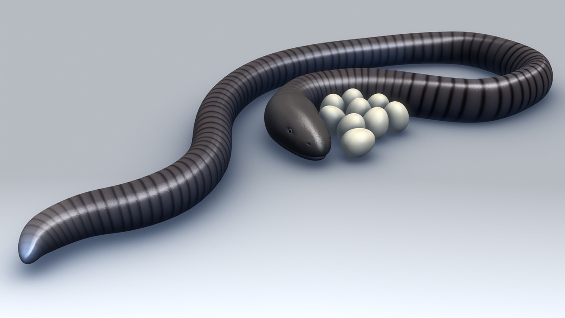 maya ichthyophis glutinosa female