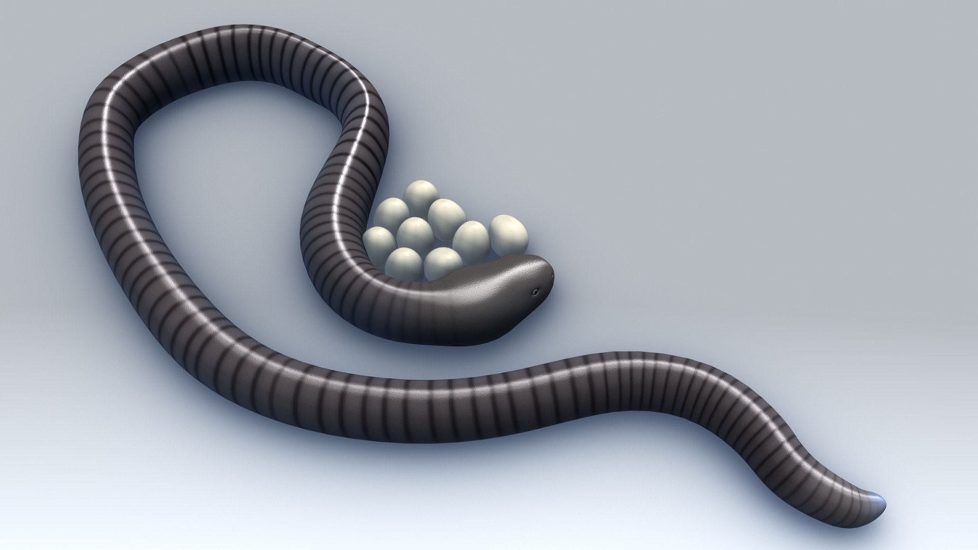 maya ichthyophis glutinosa female