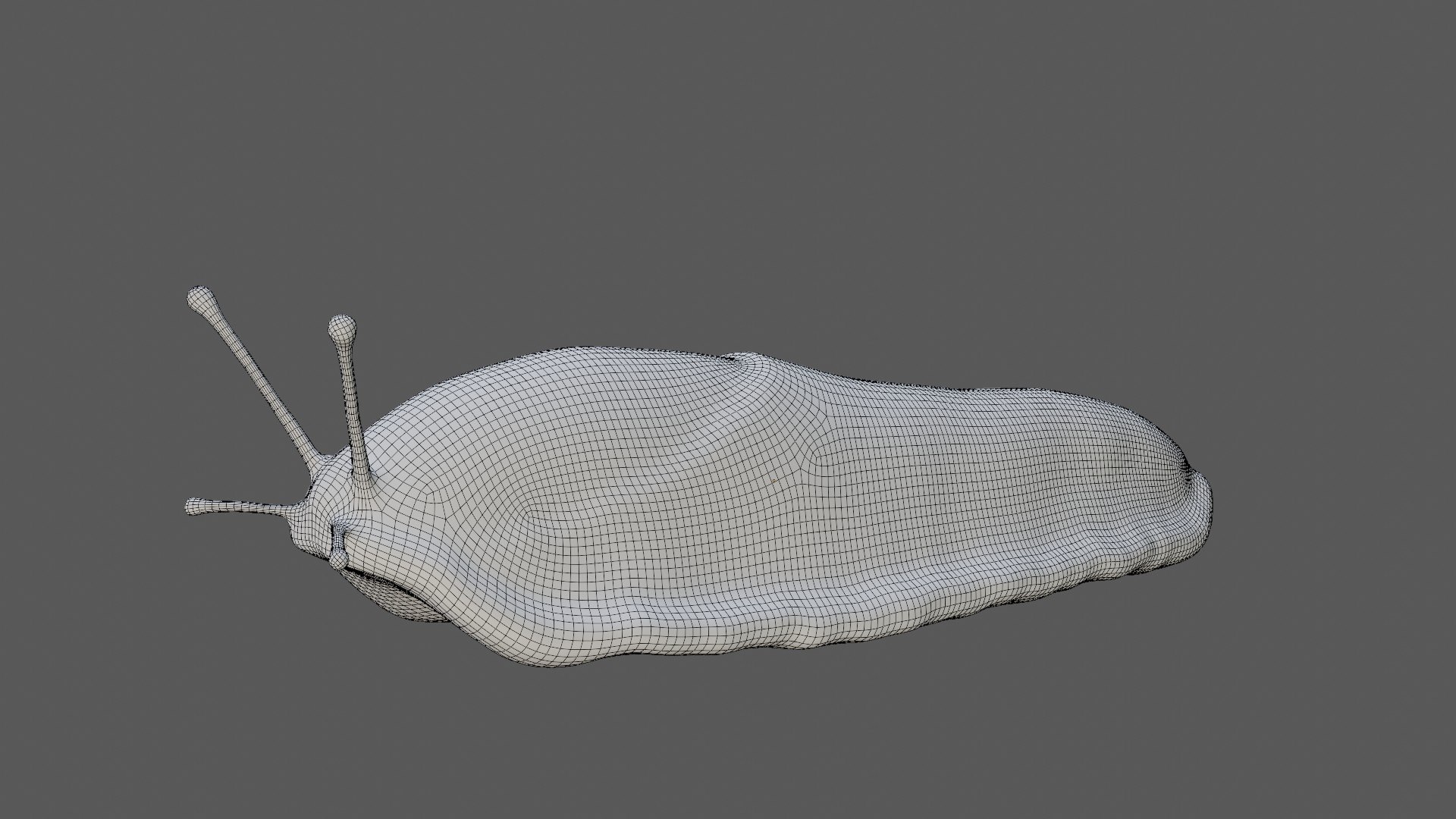 Fully Rigged Low Poly Slug Model - TurboSquid 1756365