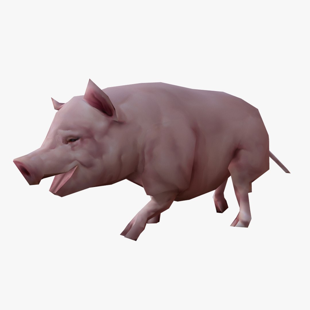Low-poly animated pig 3D - TurboSquid 1948257