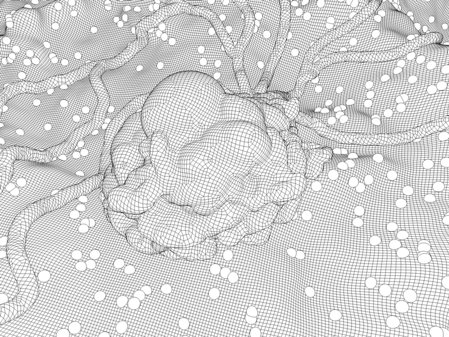 c4d bacteria structure fungus