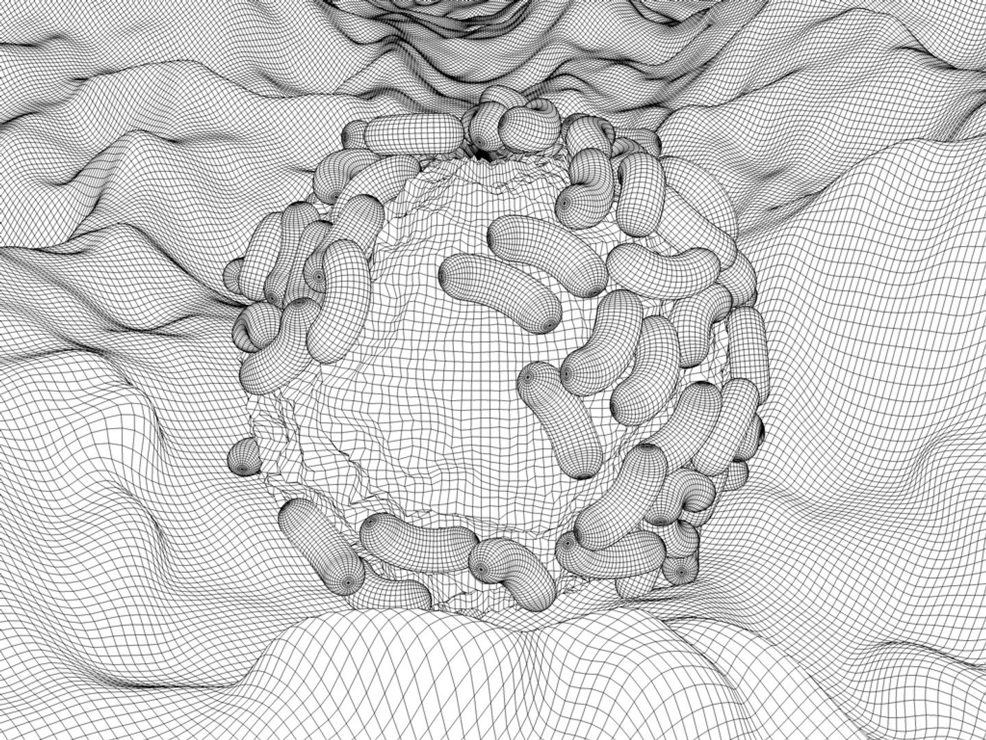 c4d bacteria structure fungus
