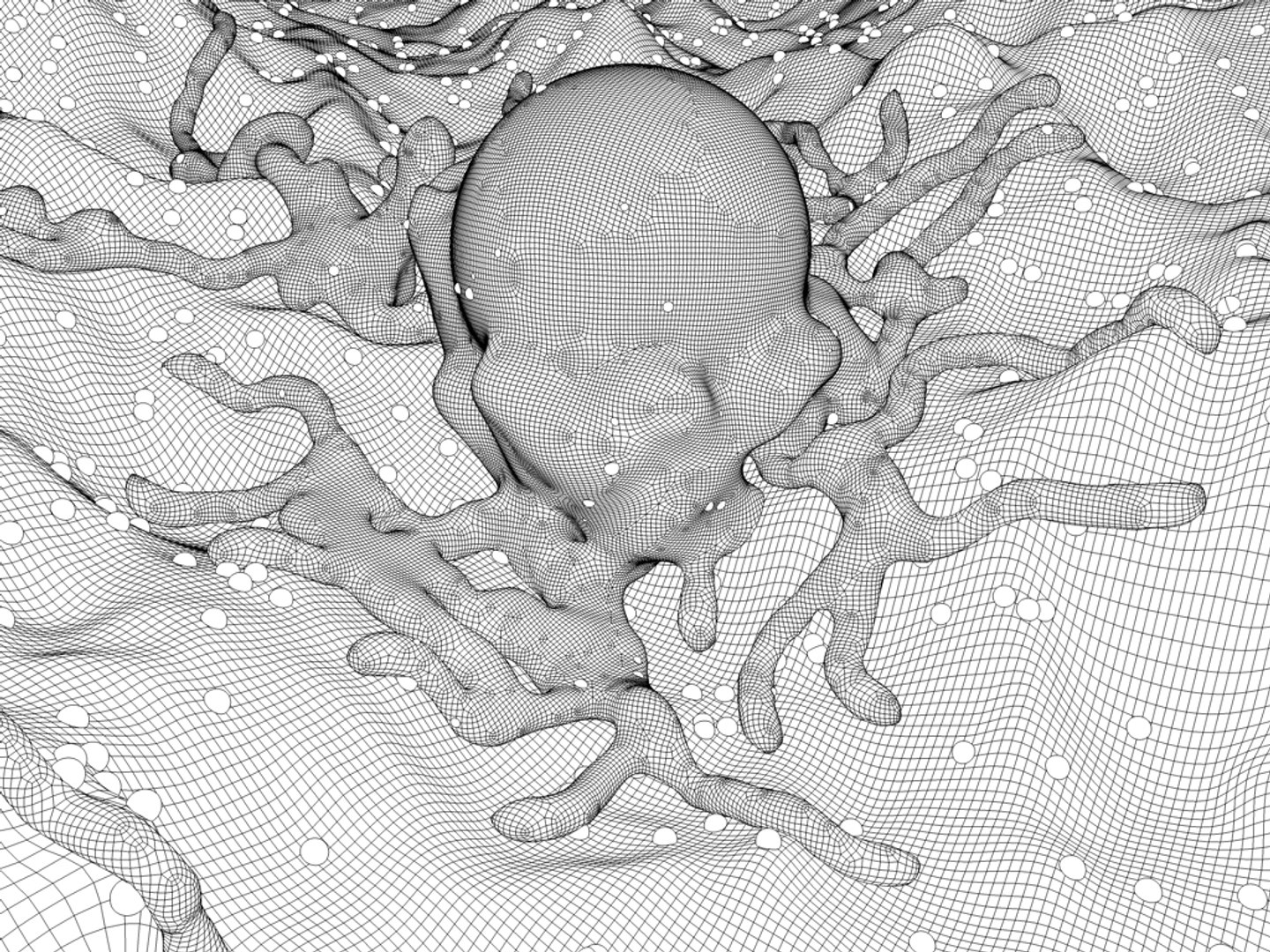 c4d bacteria structure fungus