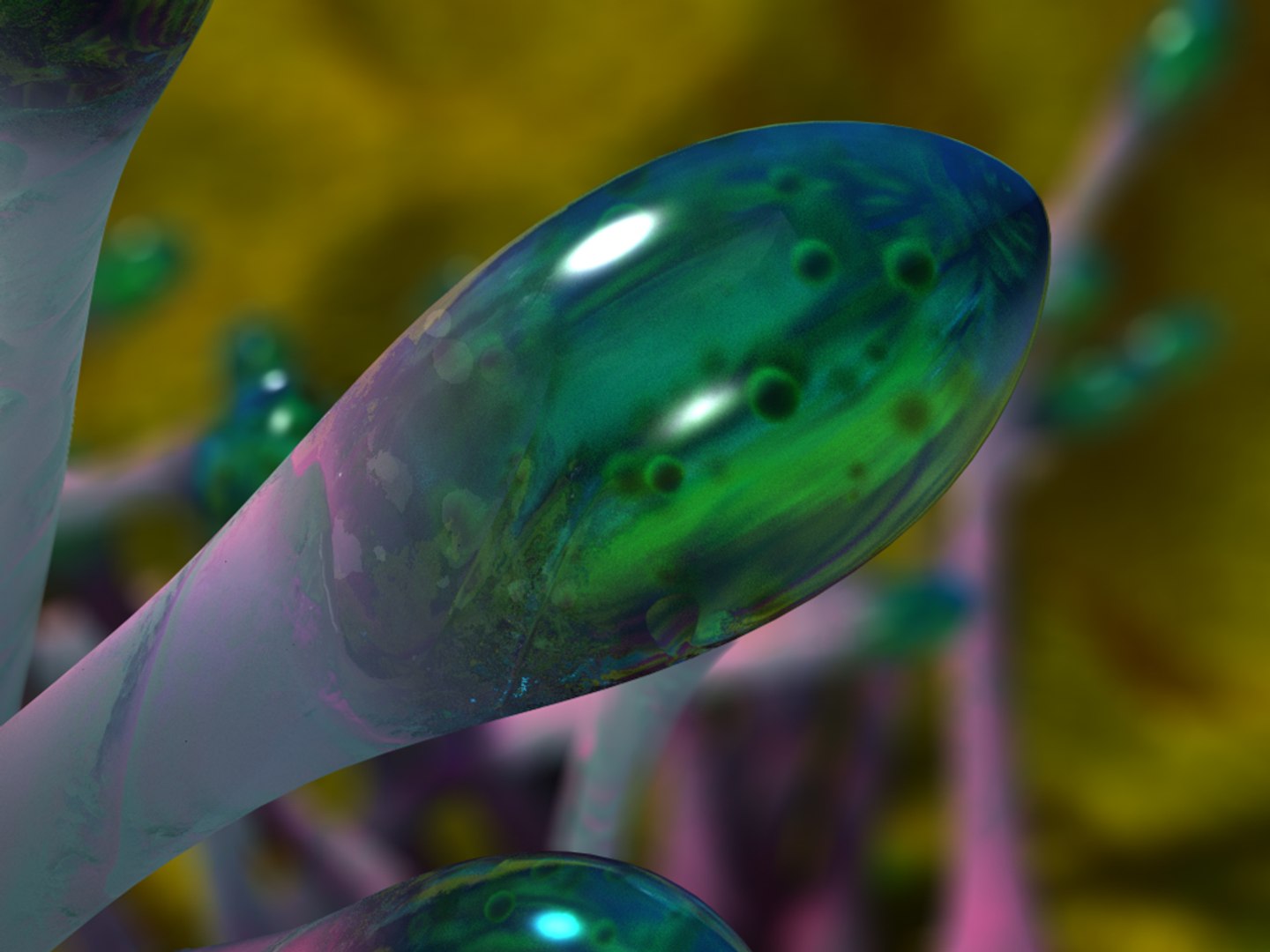 c4d bacteria structure fungus