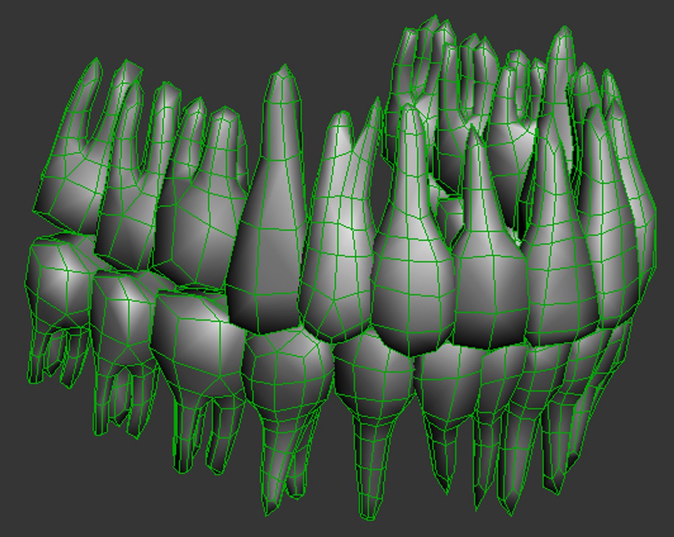 Anatomically Skull Max