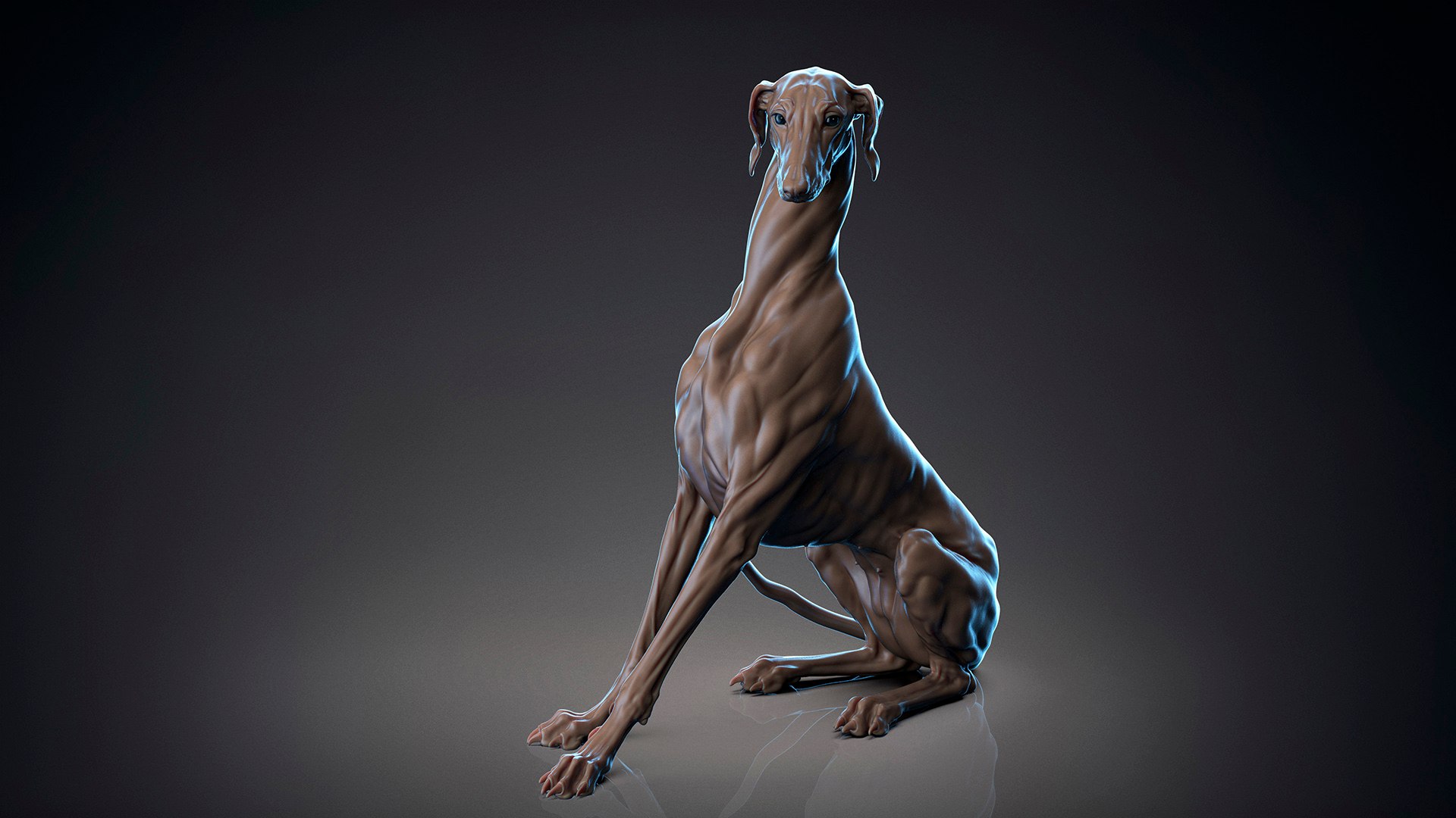 3D Dog Azawakh - 3D Sculpting Model - TurboSquid 2364734
