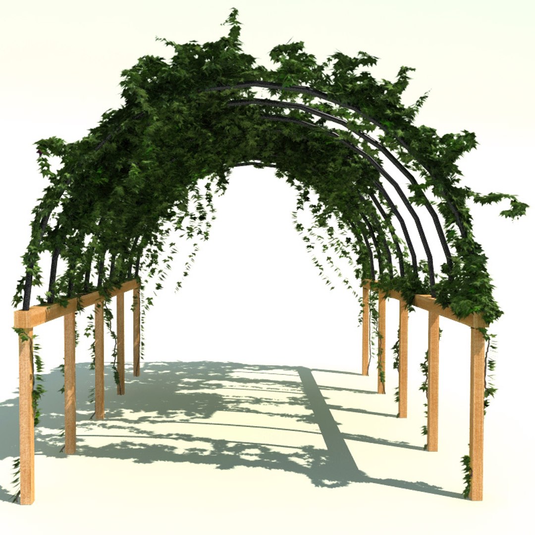 C4d Pergola Path Ivy V2