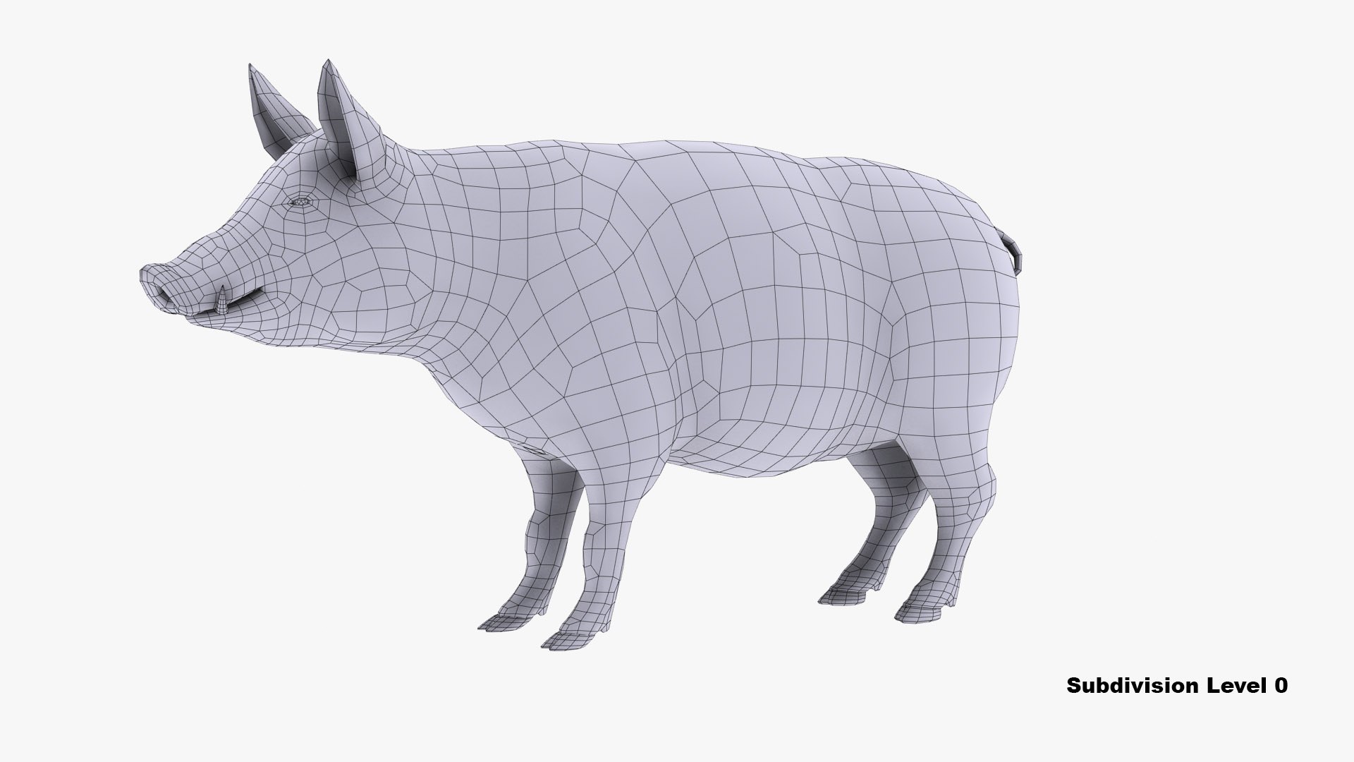 3d Pig