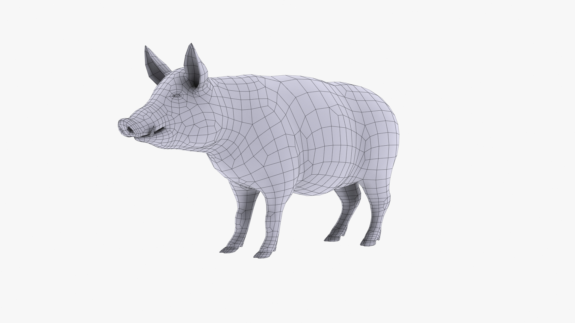 3d Pig
