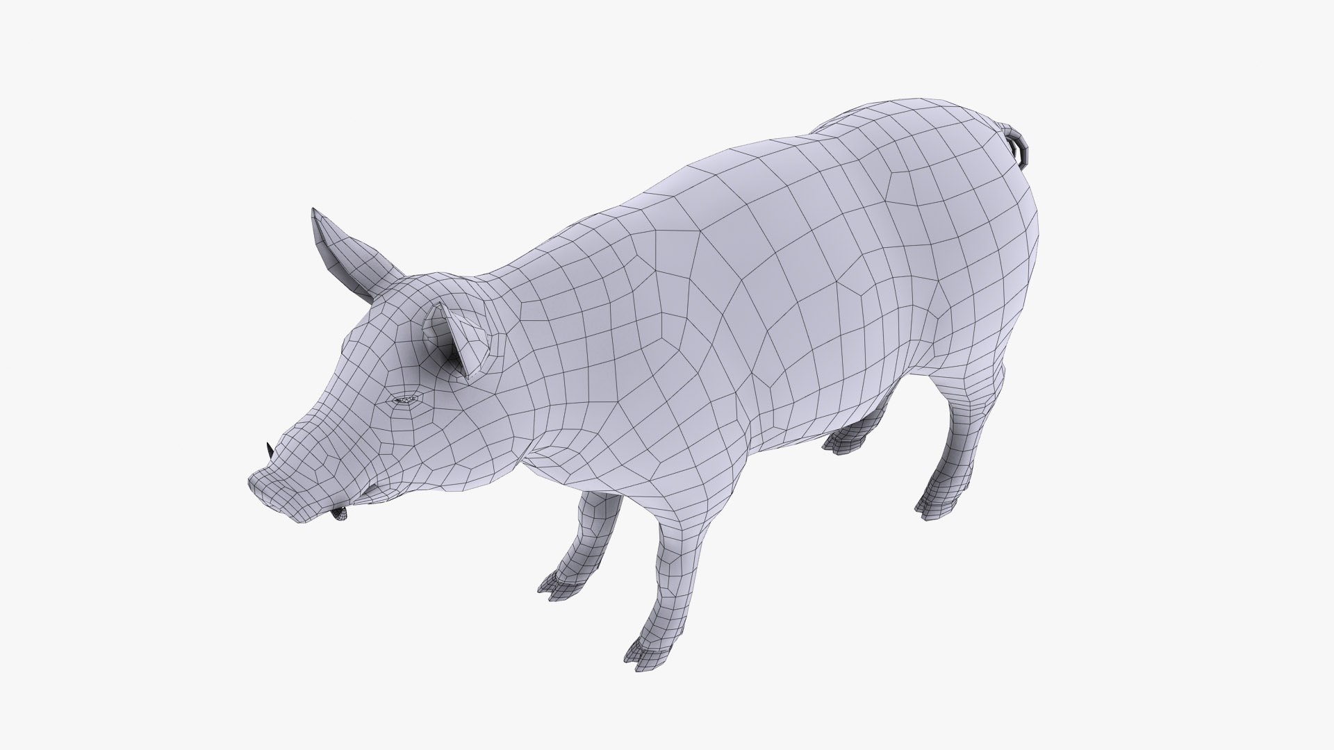 3d Pig