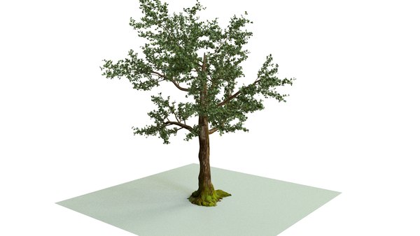 Tree realistic 3D model - TurboSquid 1448370