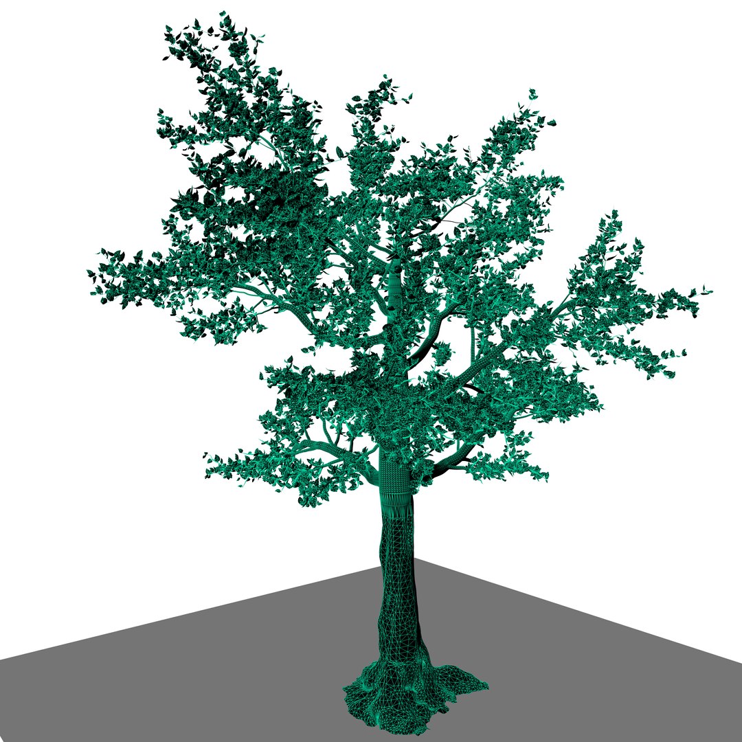 Tree realistic 3D model - TurboSquid 1448370