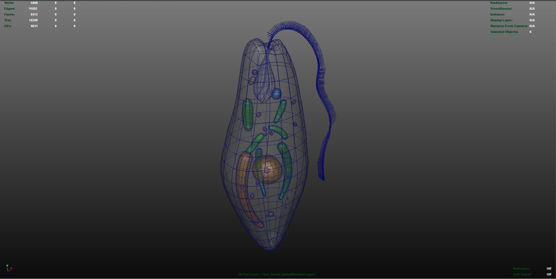 Euglena 3d Model