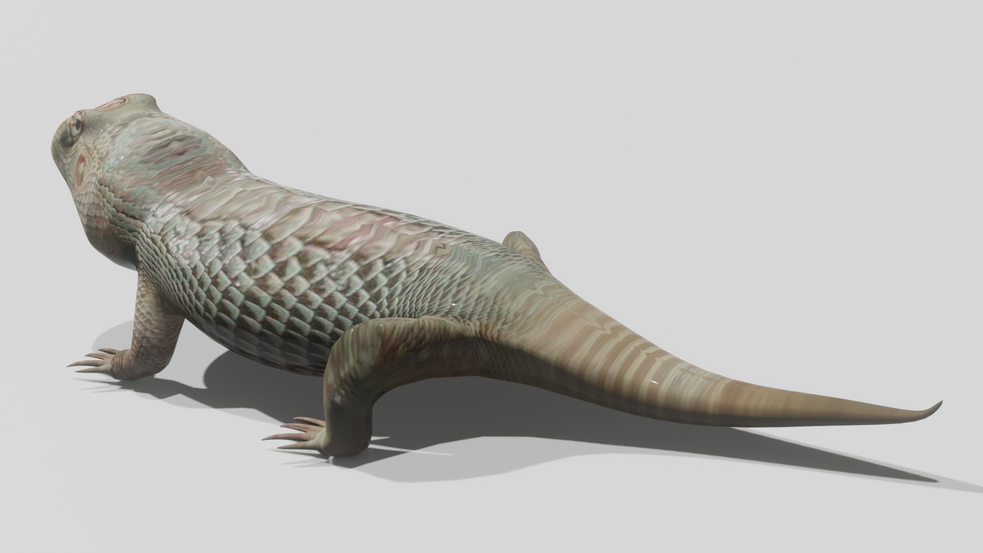 Bearded Dragon Lizard Model - TurboSquid 2203451