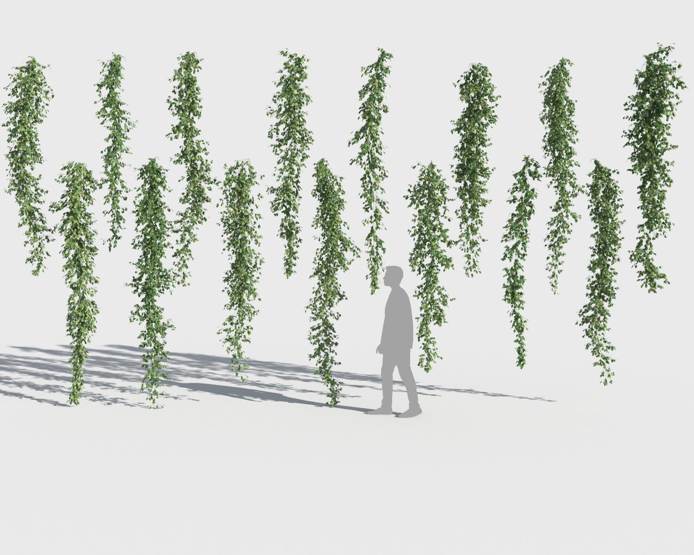 3D Climbing Plants - TurboSquid 1190710