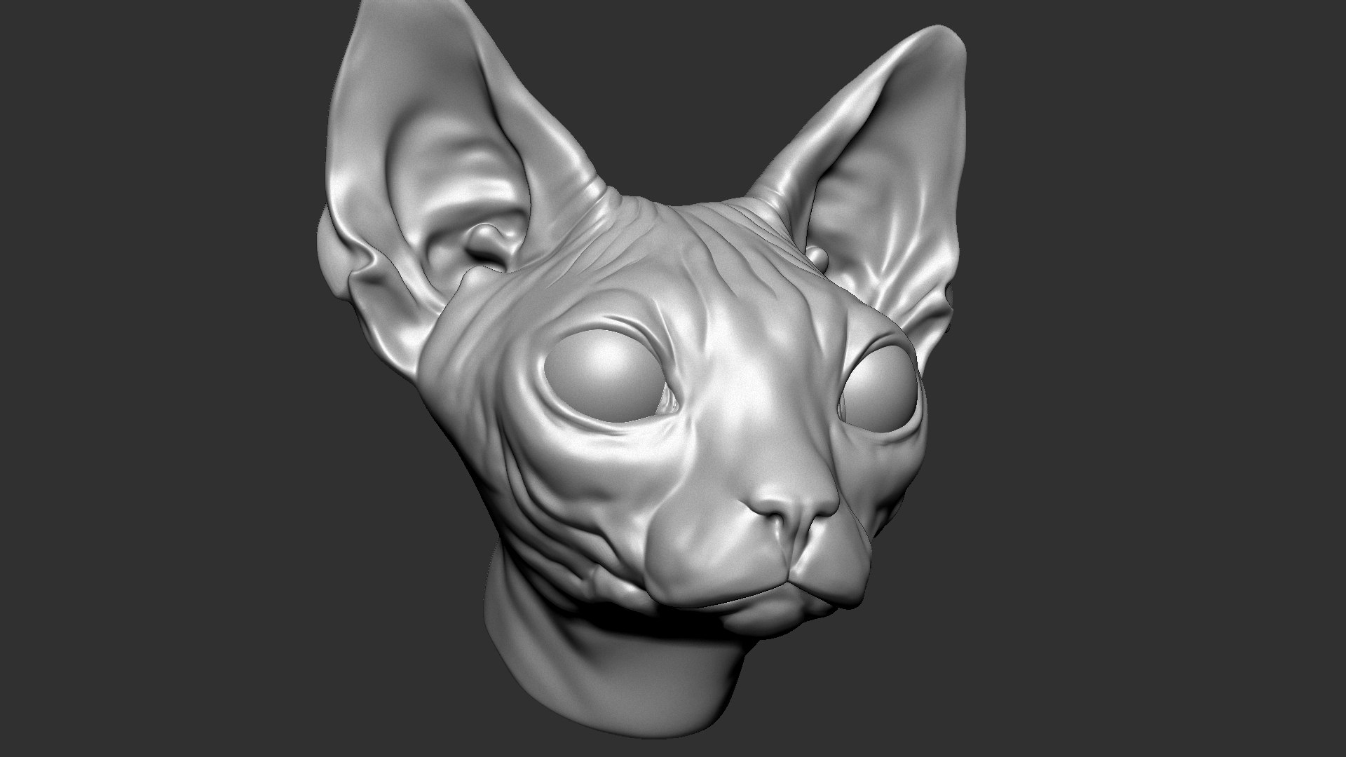 3d Model Sphynx Cat