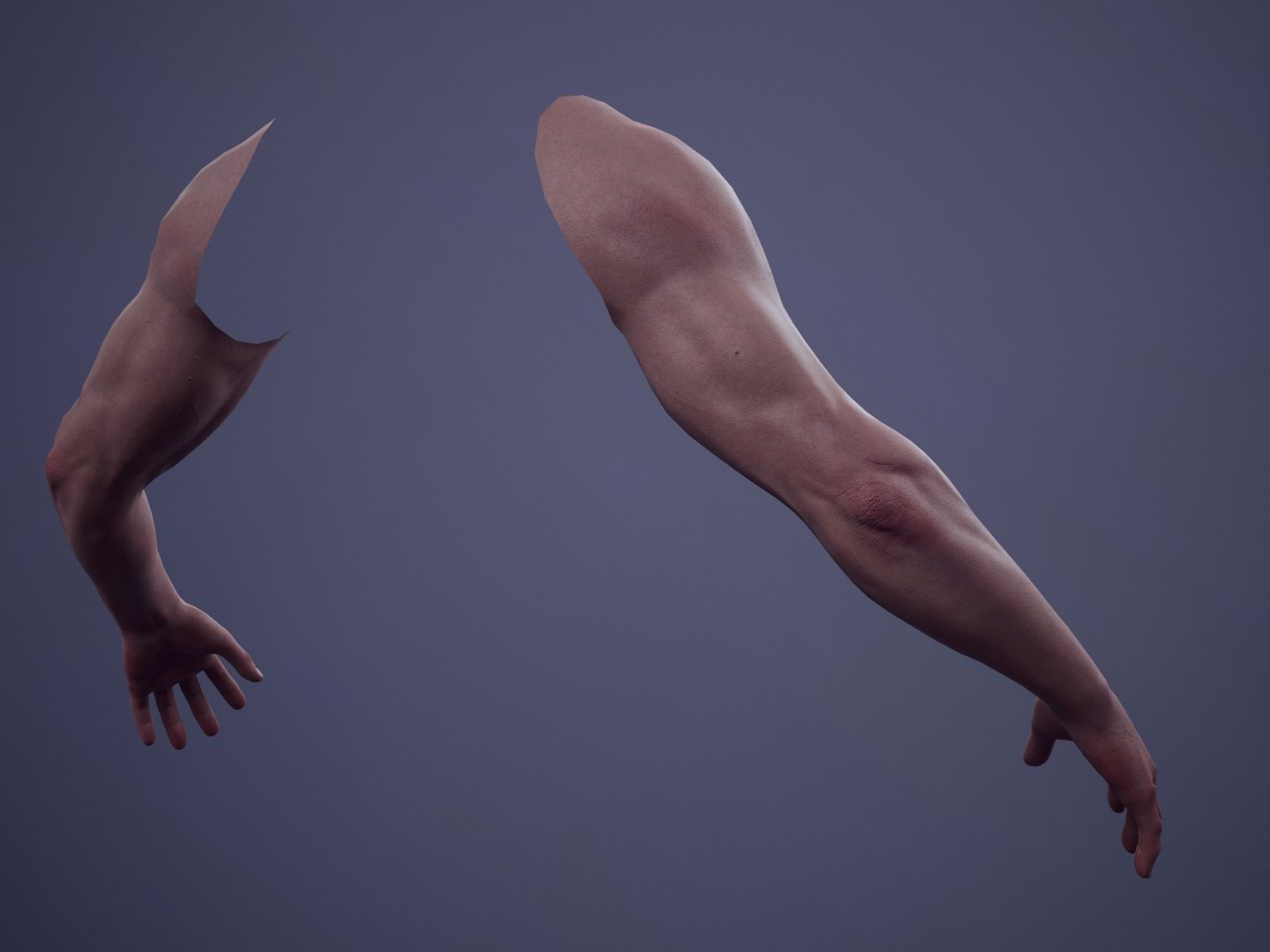 First Person Arms - 1 3D Model - TurboSquid 1736538