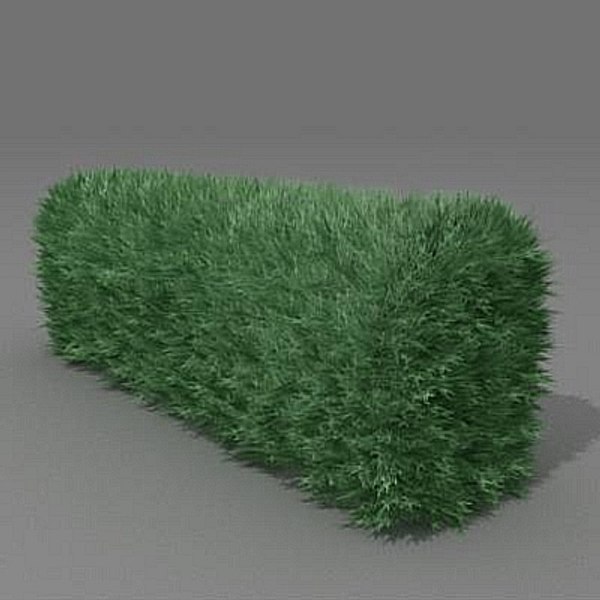 bush garden 3d model