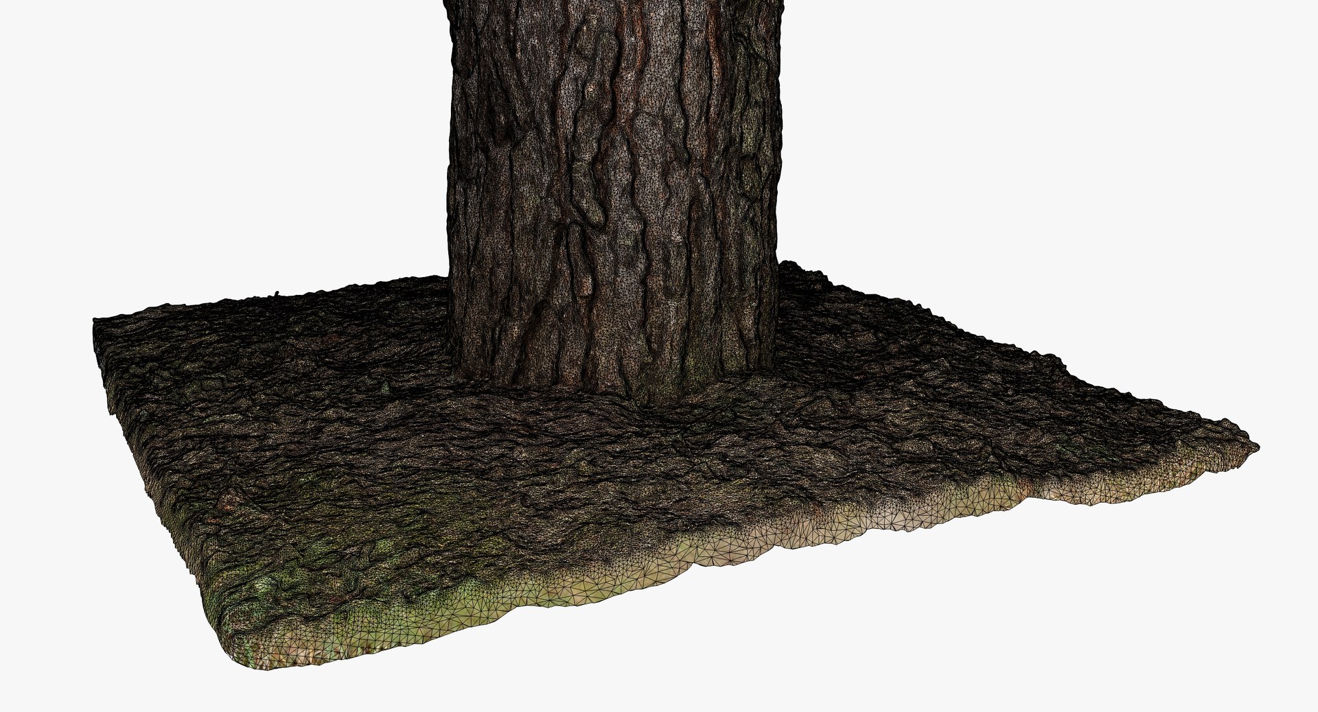 tree trunk scan obj