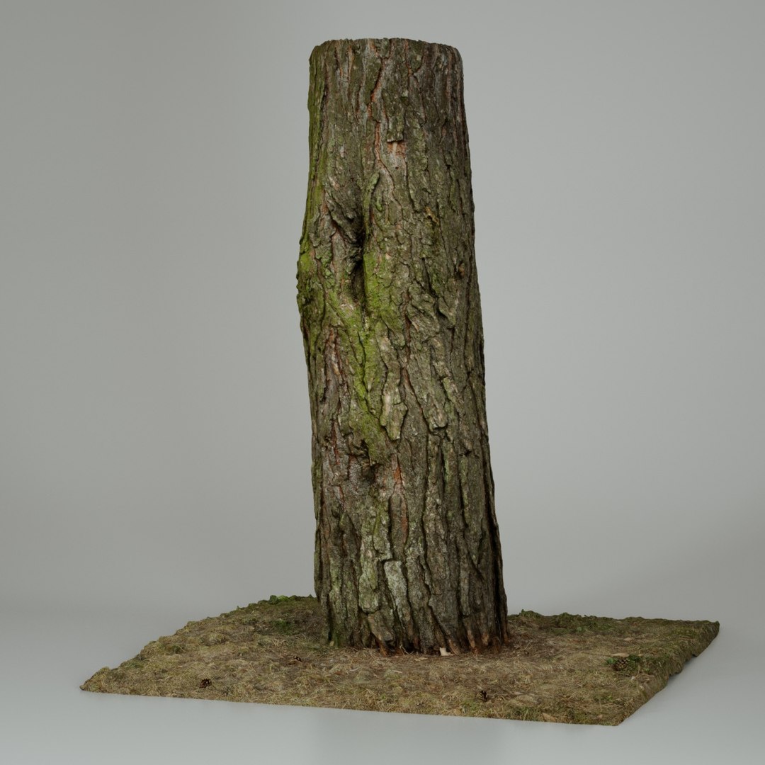 tree trunk scan obj