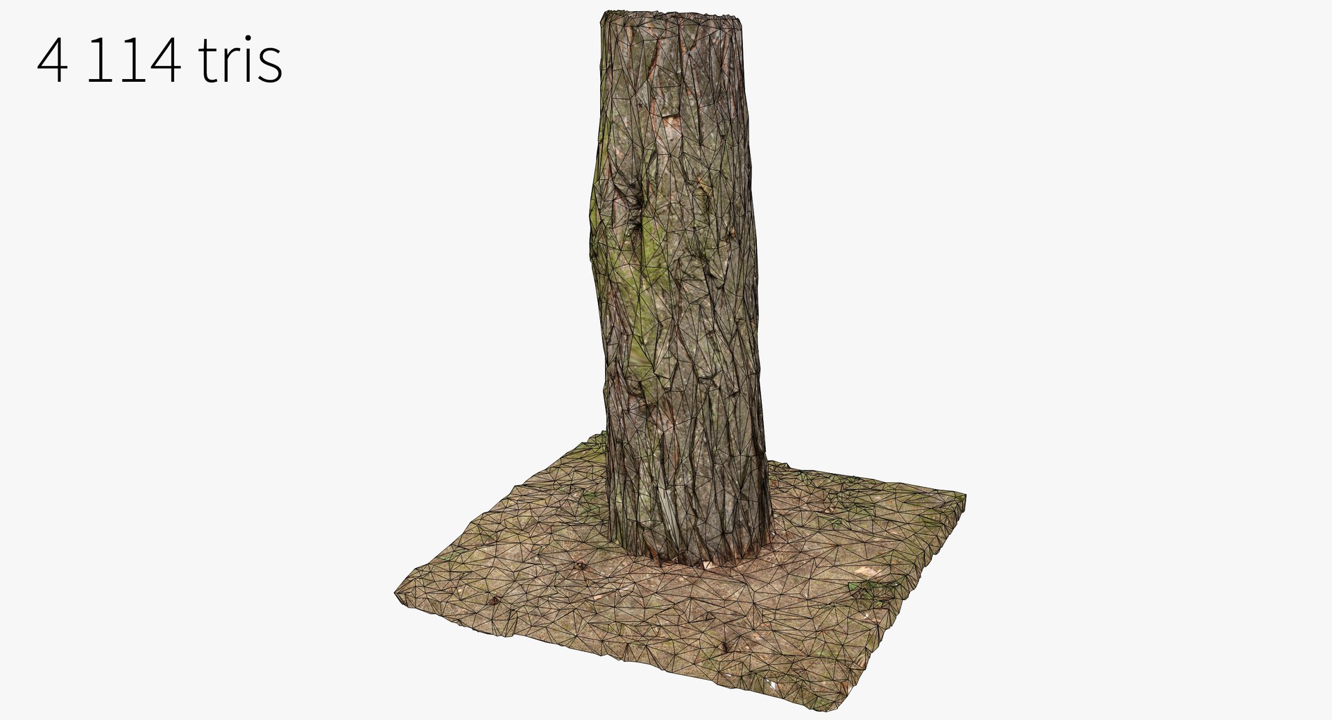 tree trunk scan obj