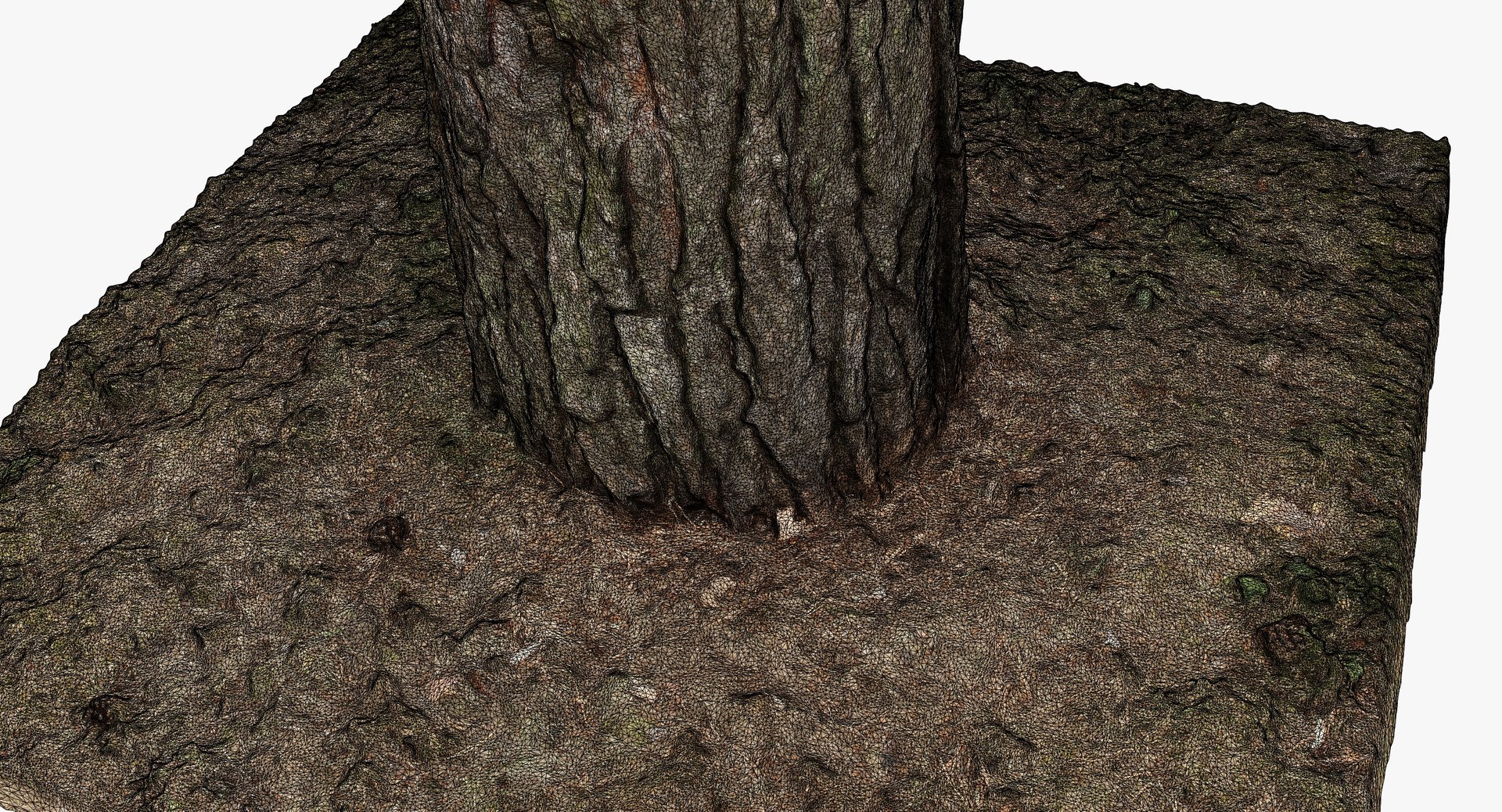tree trunk scan obj