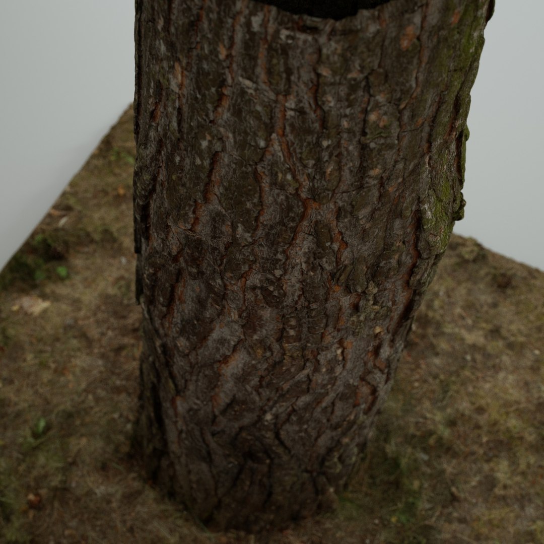 tree trunk scan obj