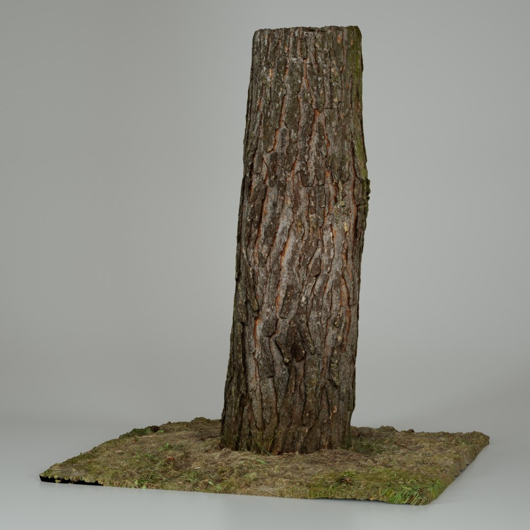 tree trunk scan obj