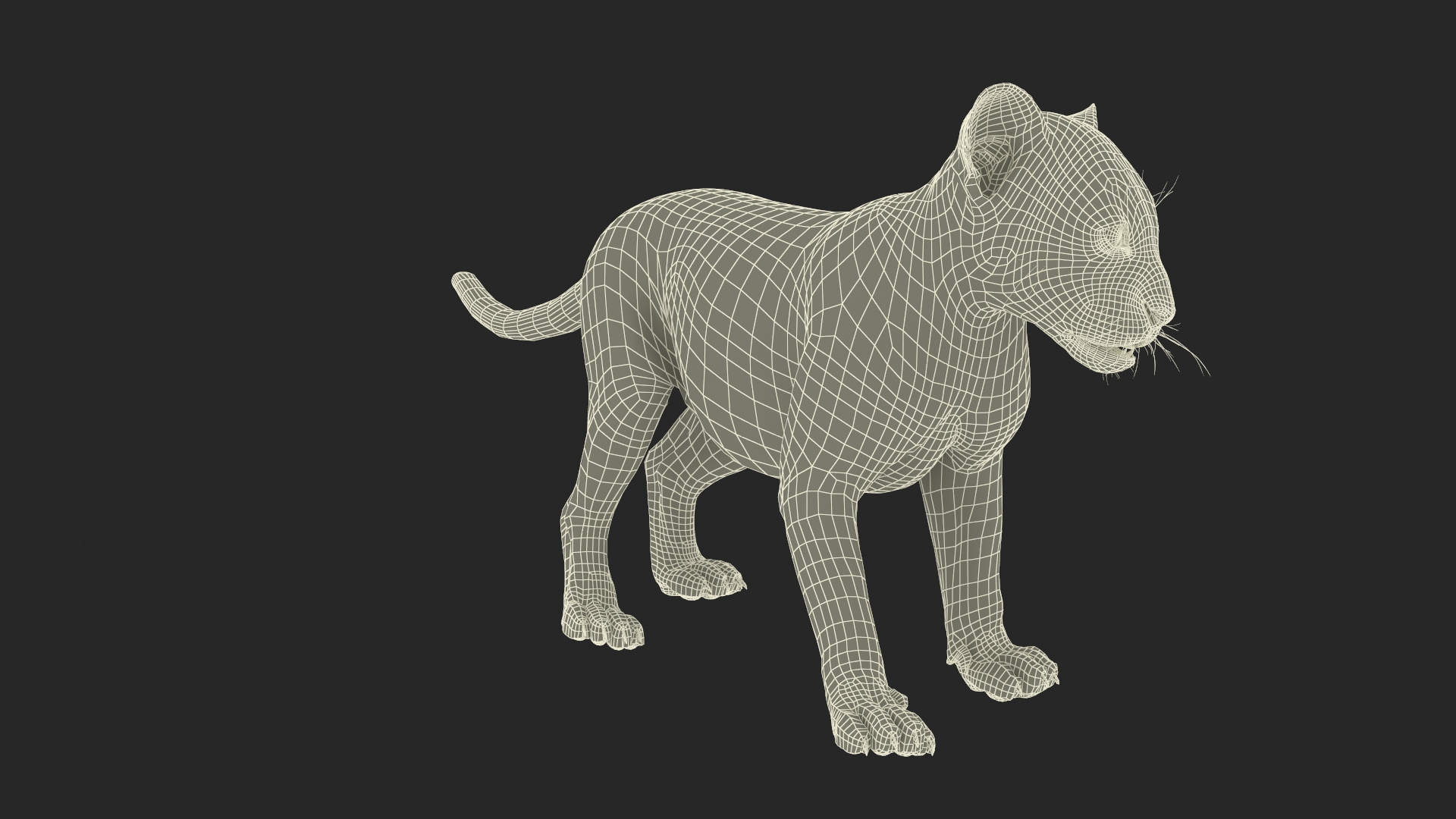 3D Model Baby Puma Cub Fur - TurboSquid 2339769