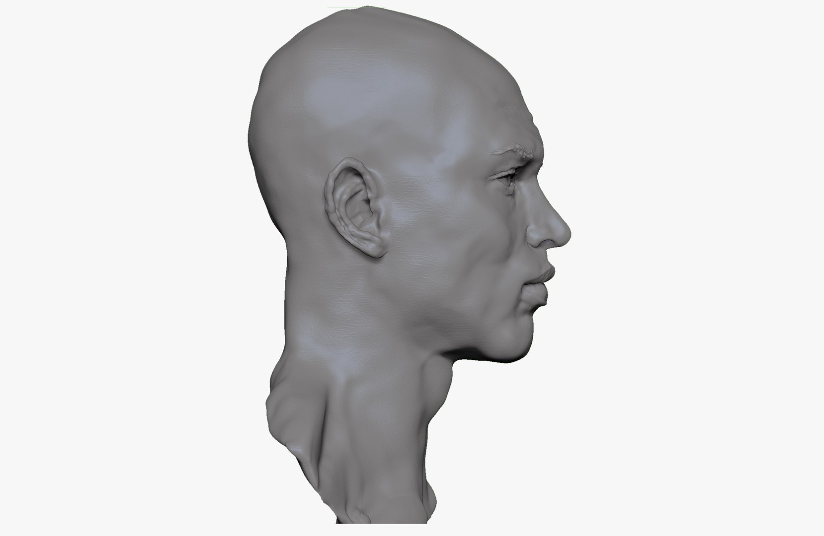 Male head 3D model - TurboSquid 1641627