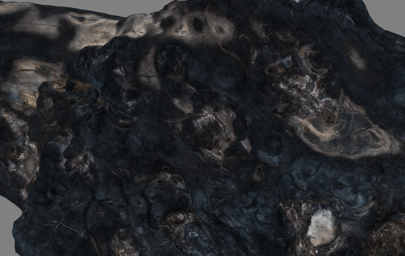 Burnt Tree Roots 3D Scan 16 K Texture 3D Model - TurboSquid 1800970