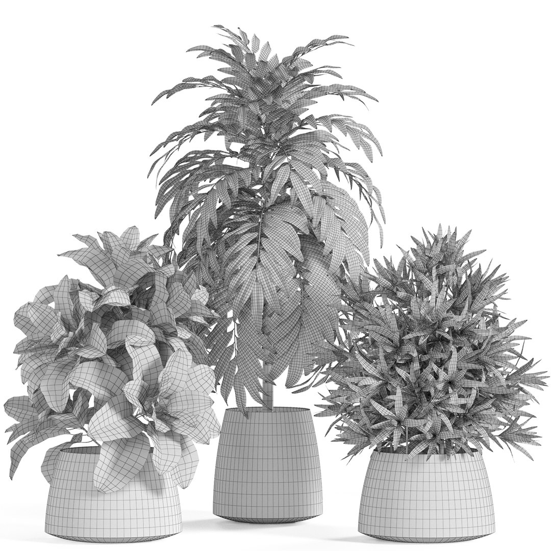 3D Plants Collection 923 Model - TurboSquid 2057871