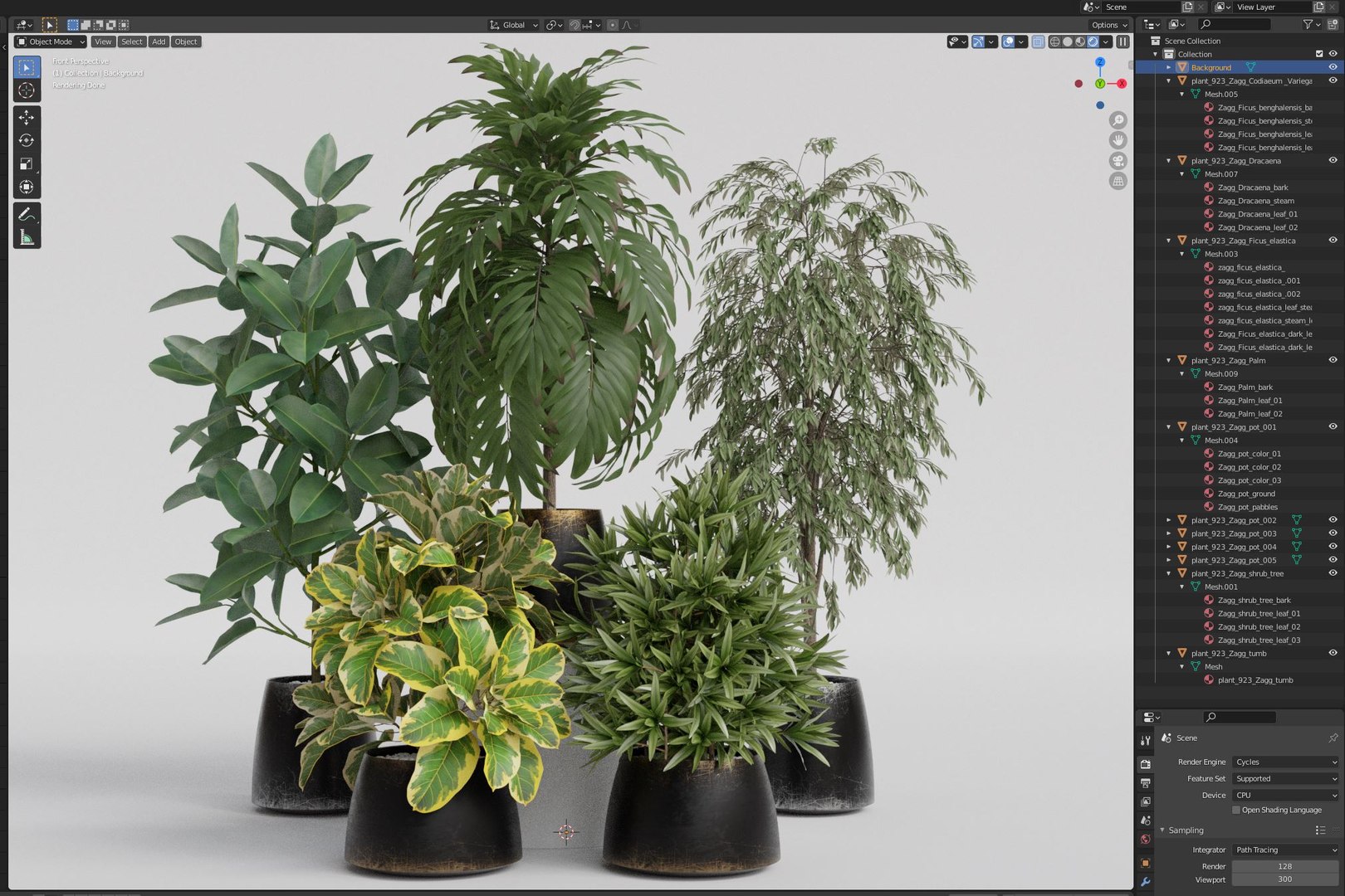 3D Plants Collection 923 Model - TurboSquid 2057871