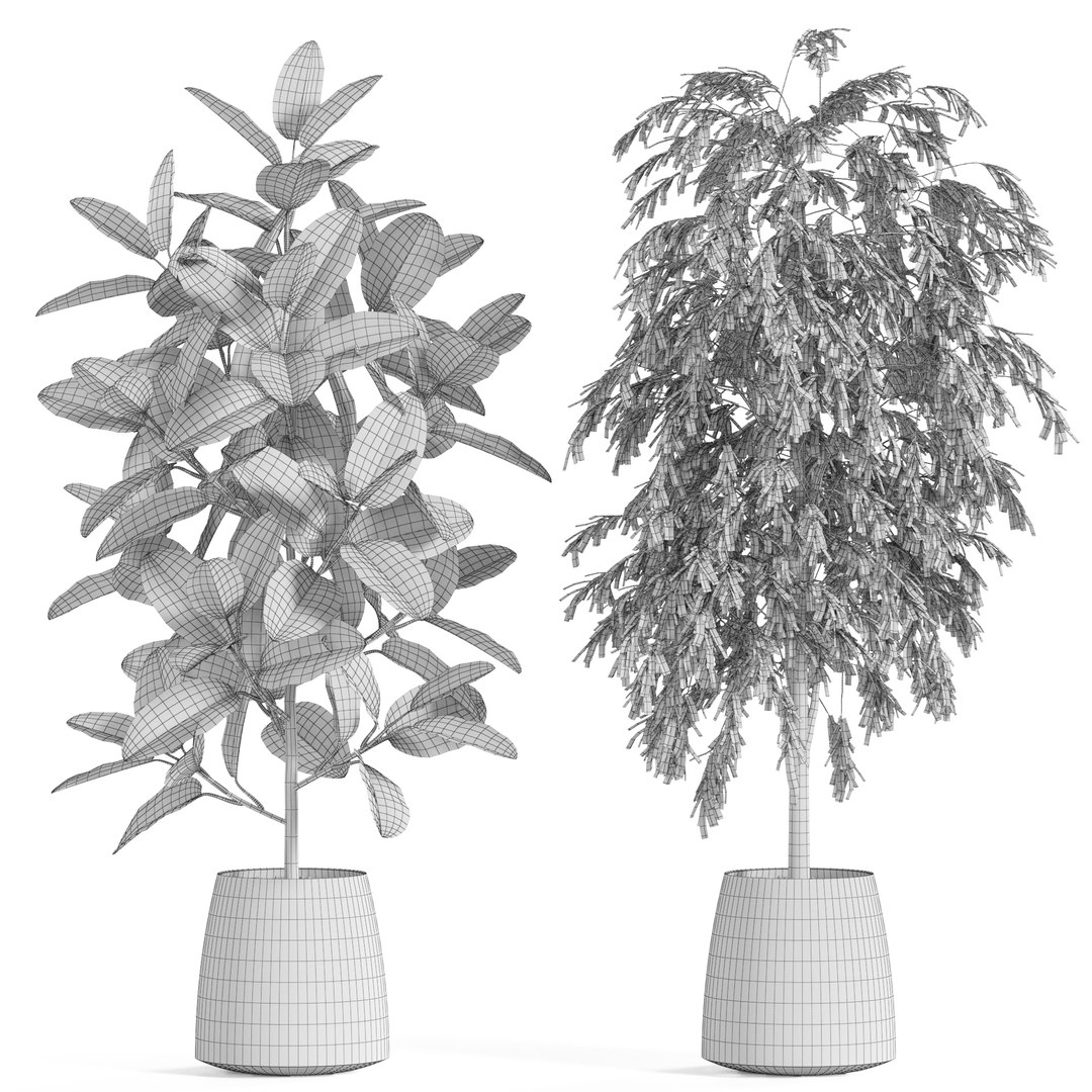 3D Plants Collection 923 Model - TurboSquid 2057871