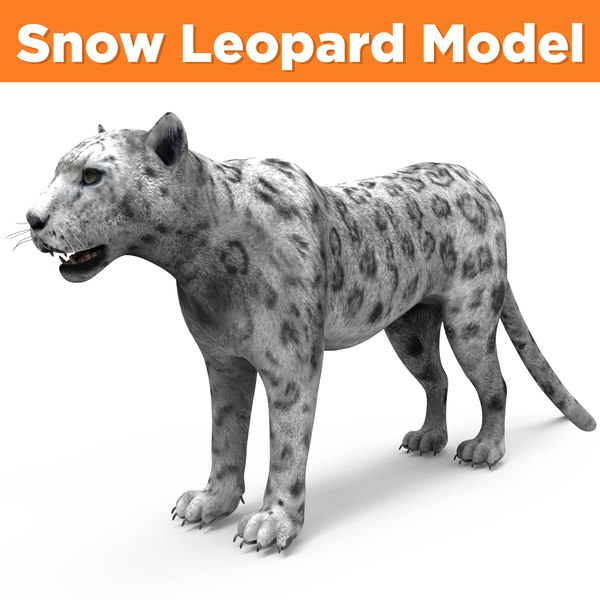 Leopard 3D Models for Download | TurboSquid