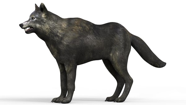 Black Wolf com texturas PBR Modelo 3D - TurboSquid 1784343