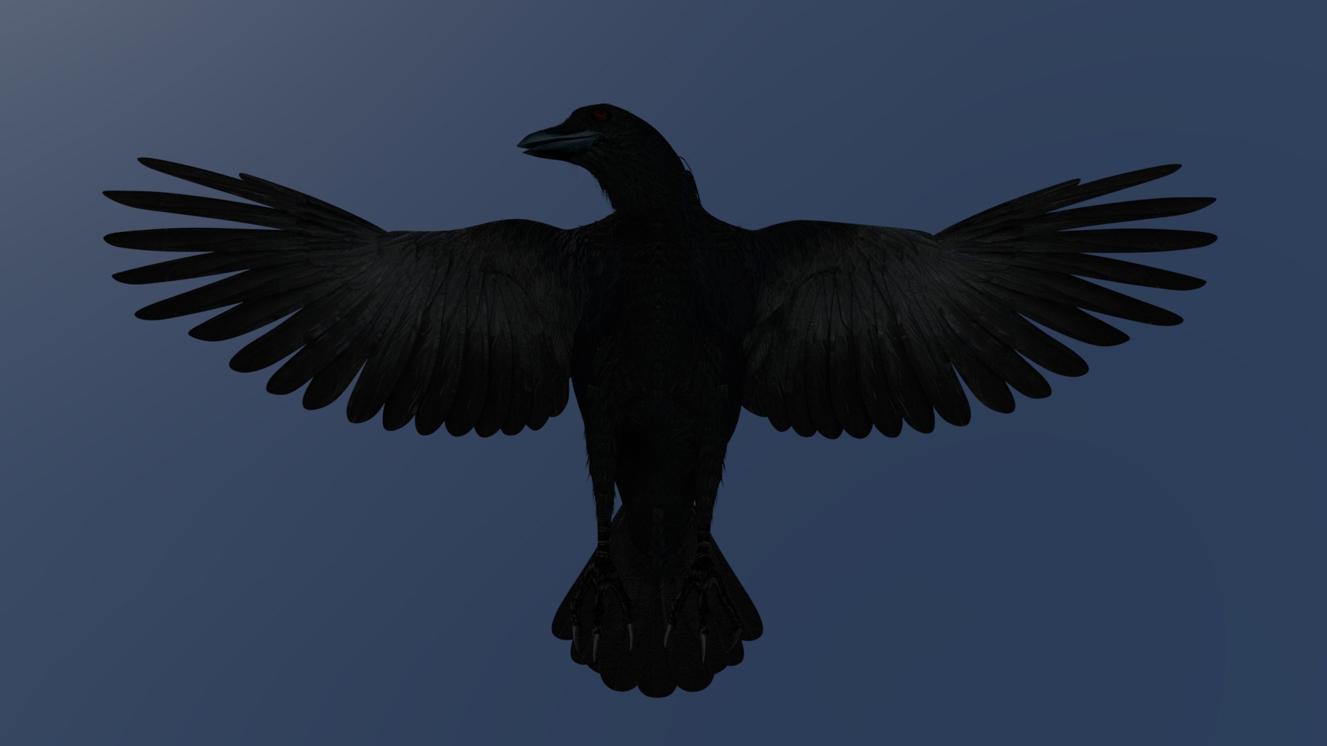 3D Model Crow Modeled - TurboSquid 1510569