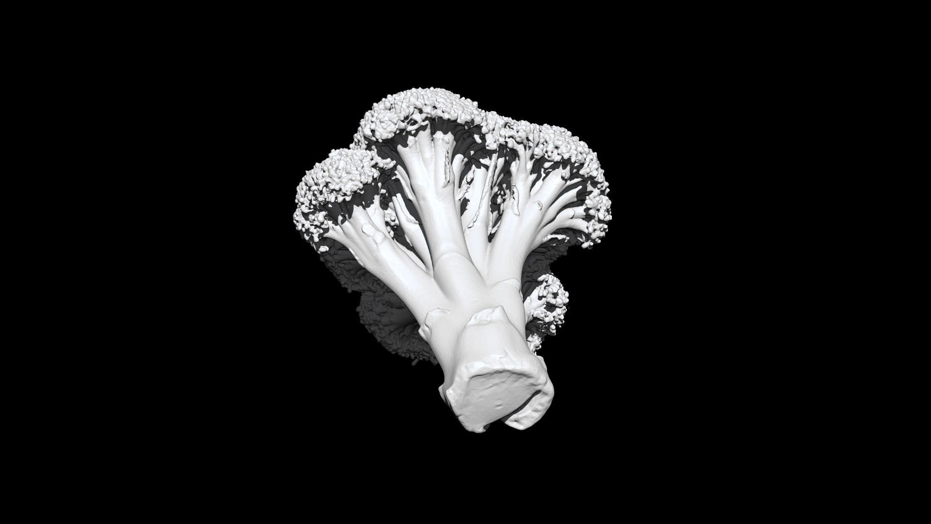Broccoli 3D CT Scan model Decimate 30percent 3D - TurboSquid 1886397