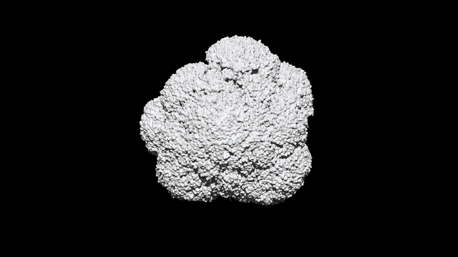 Broccoli 3D CT Scan model Decimate 30percent 3D - TurboSquid 1886397