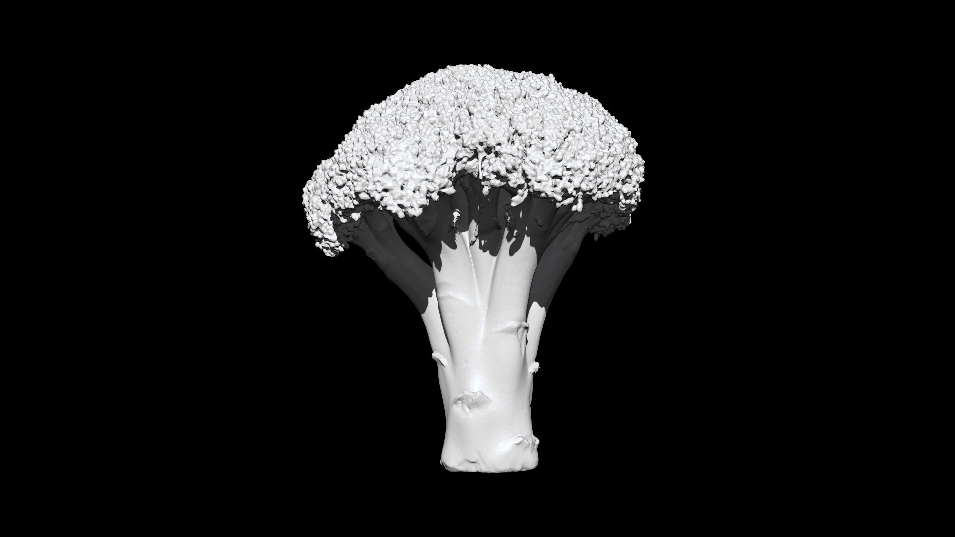 Broccoli 3D CT Scan model Decimate 30percent 3D - TurboSquid 1886397