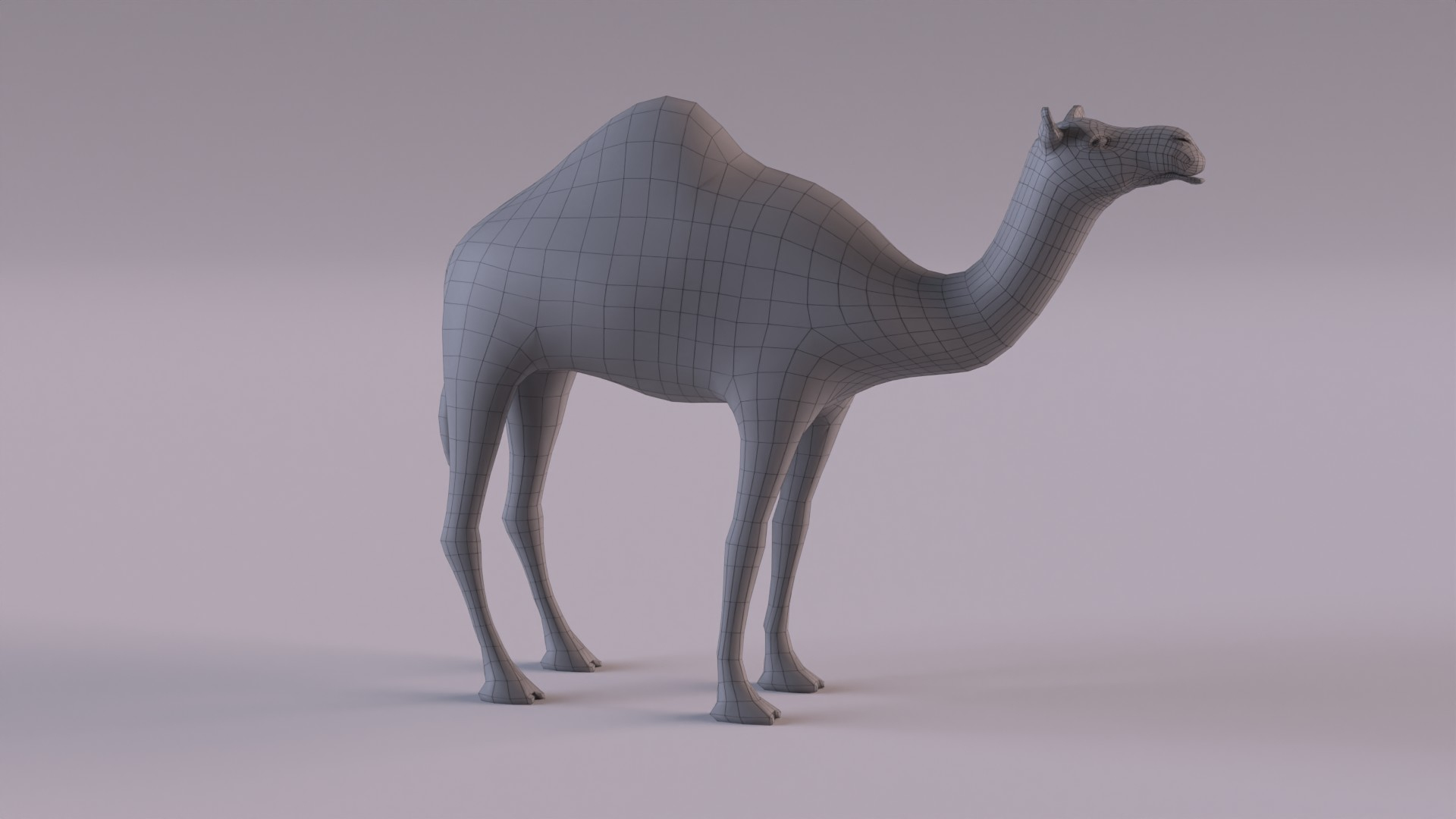 Camel 3D Model - TurboSquid 1990023