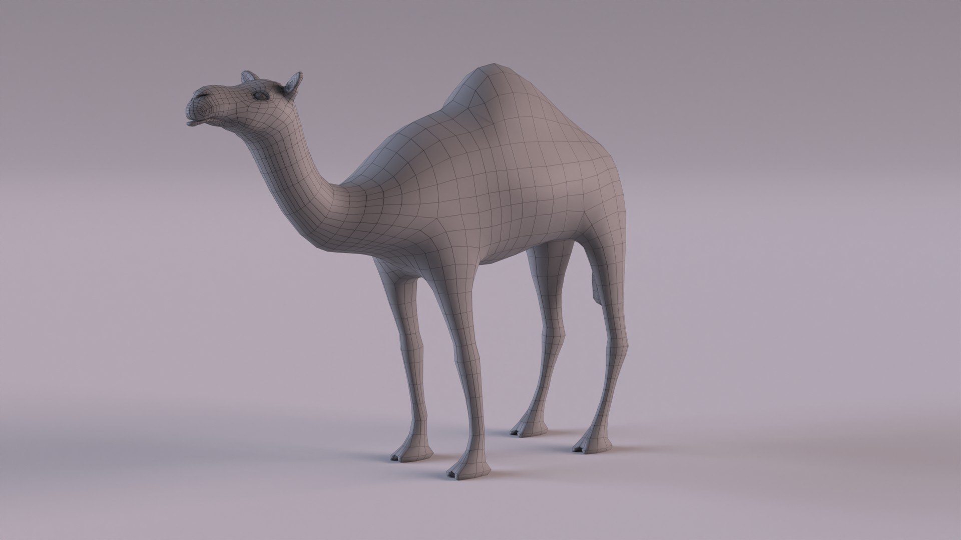 Camel 3D Model - TurboSquid 1990023