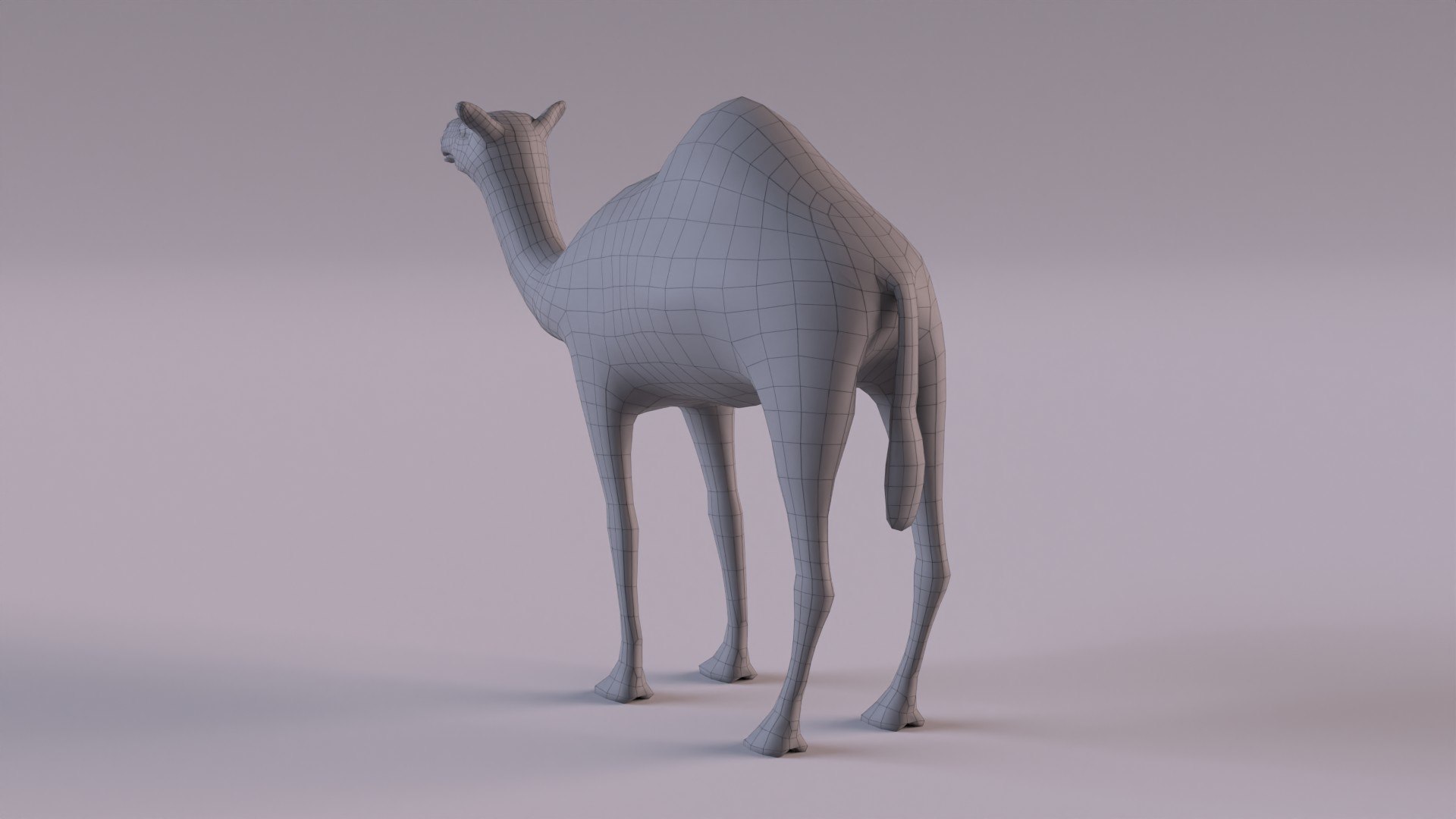 Camel 3D Model - TurboSquid 1990023