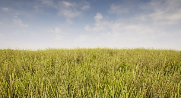 fbx ready grass