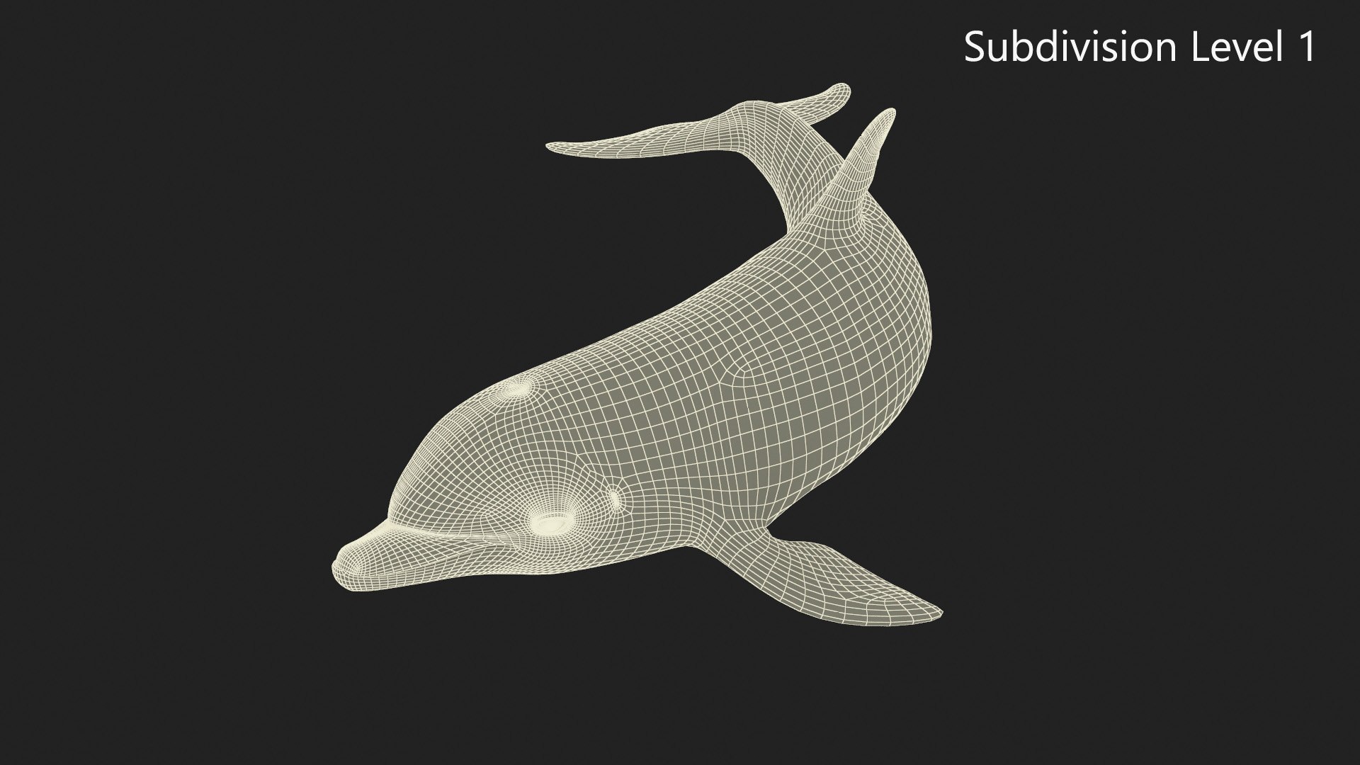 Realistic Bottlenose Dolphin Turn 3D - TurboSquid 2271222
