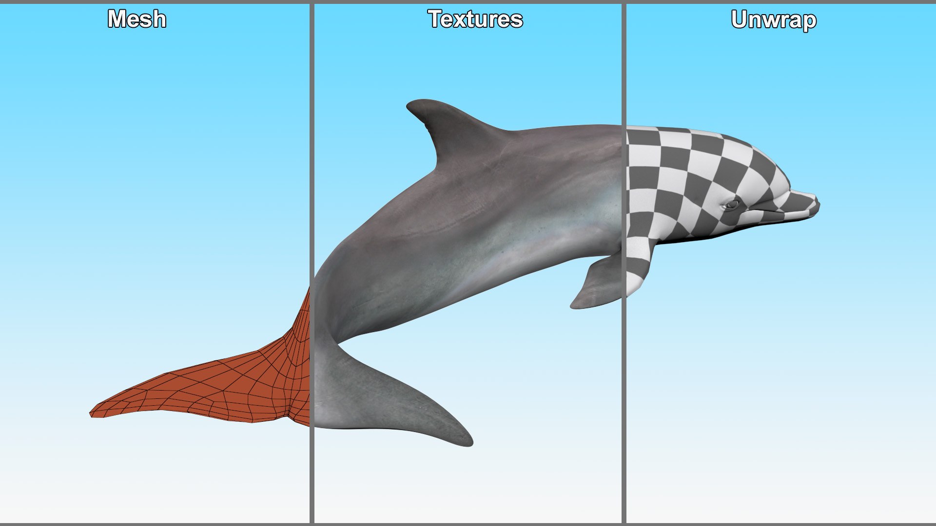 Realistic Bottlenose Dolphin Turn 3D - TurboSquid 2271222