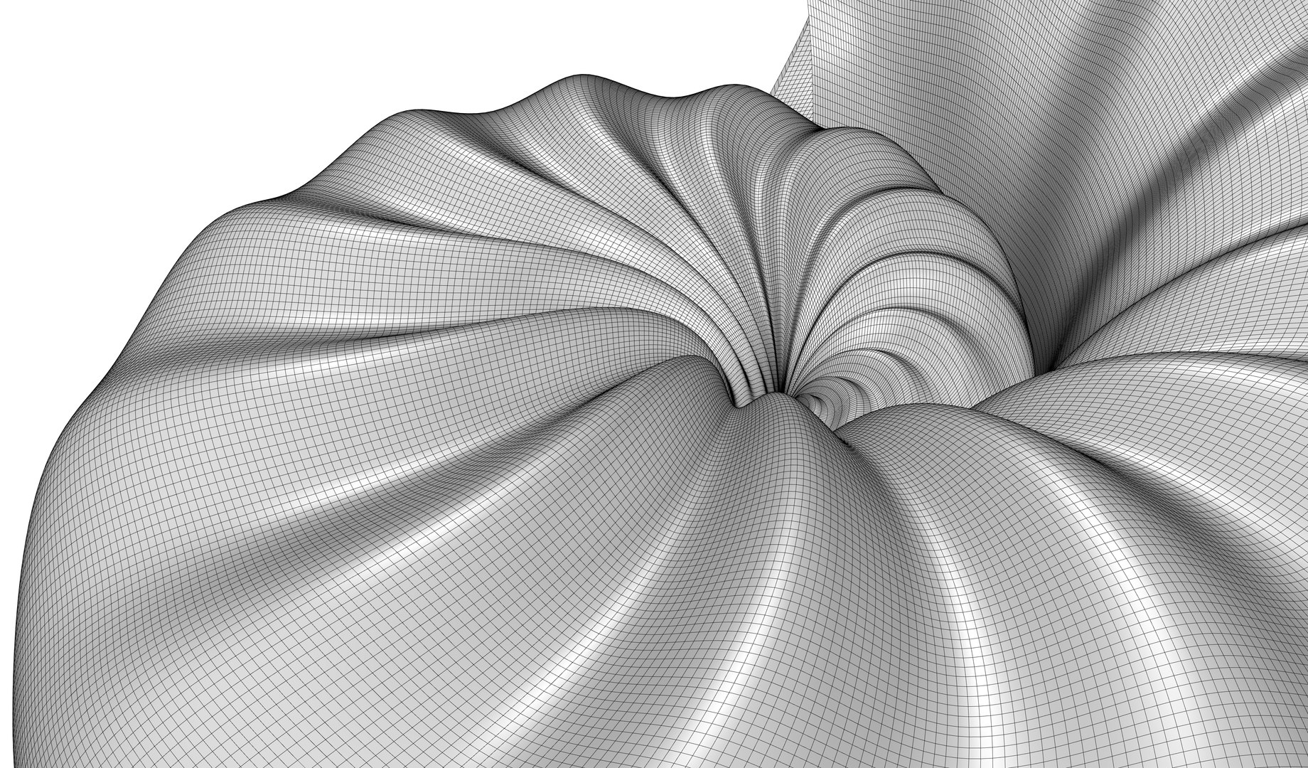 3D Parametric Seashell Model - TurboSquid 1818569