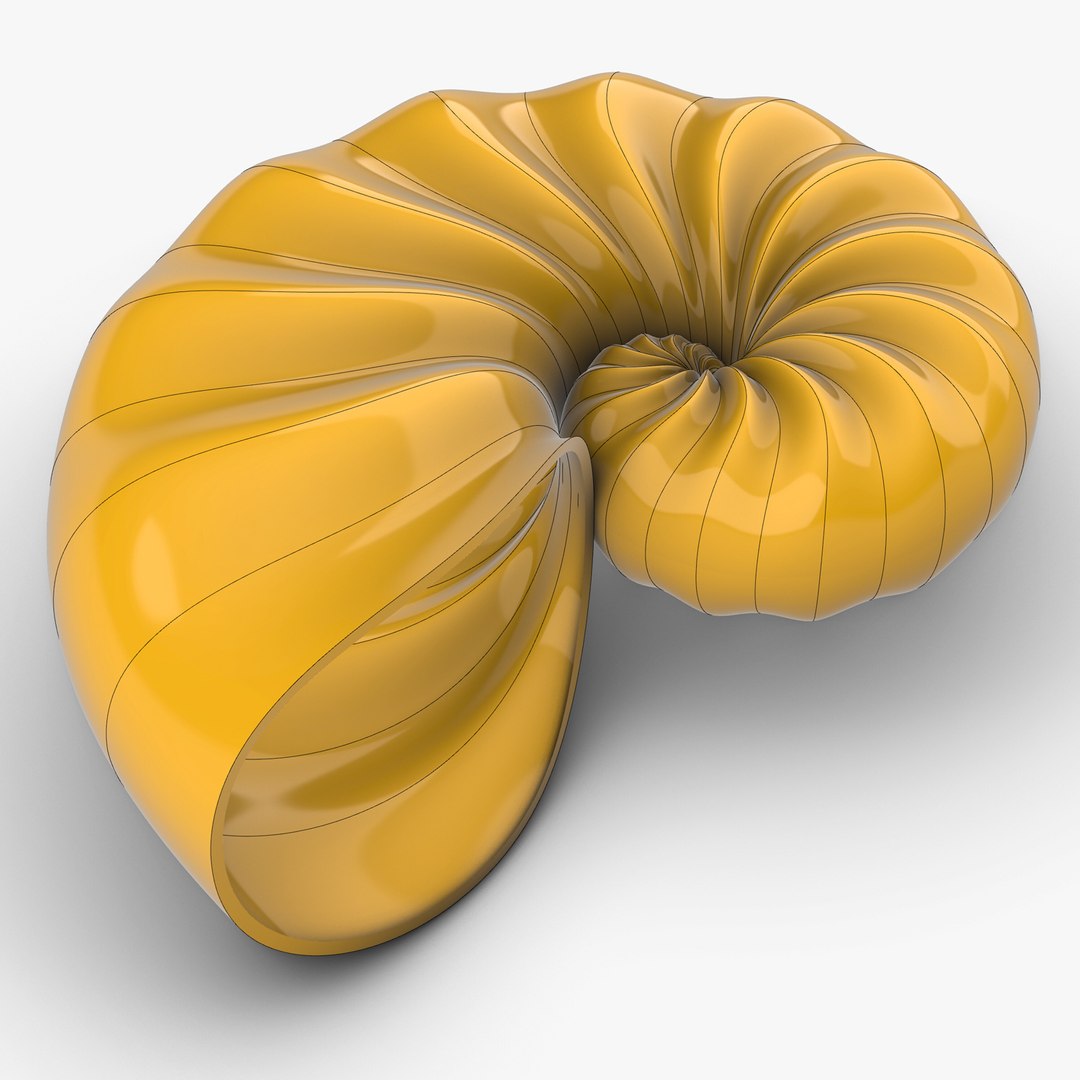 3D Parametric Seashell model - TurboSquid 1818569