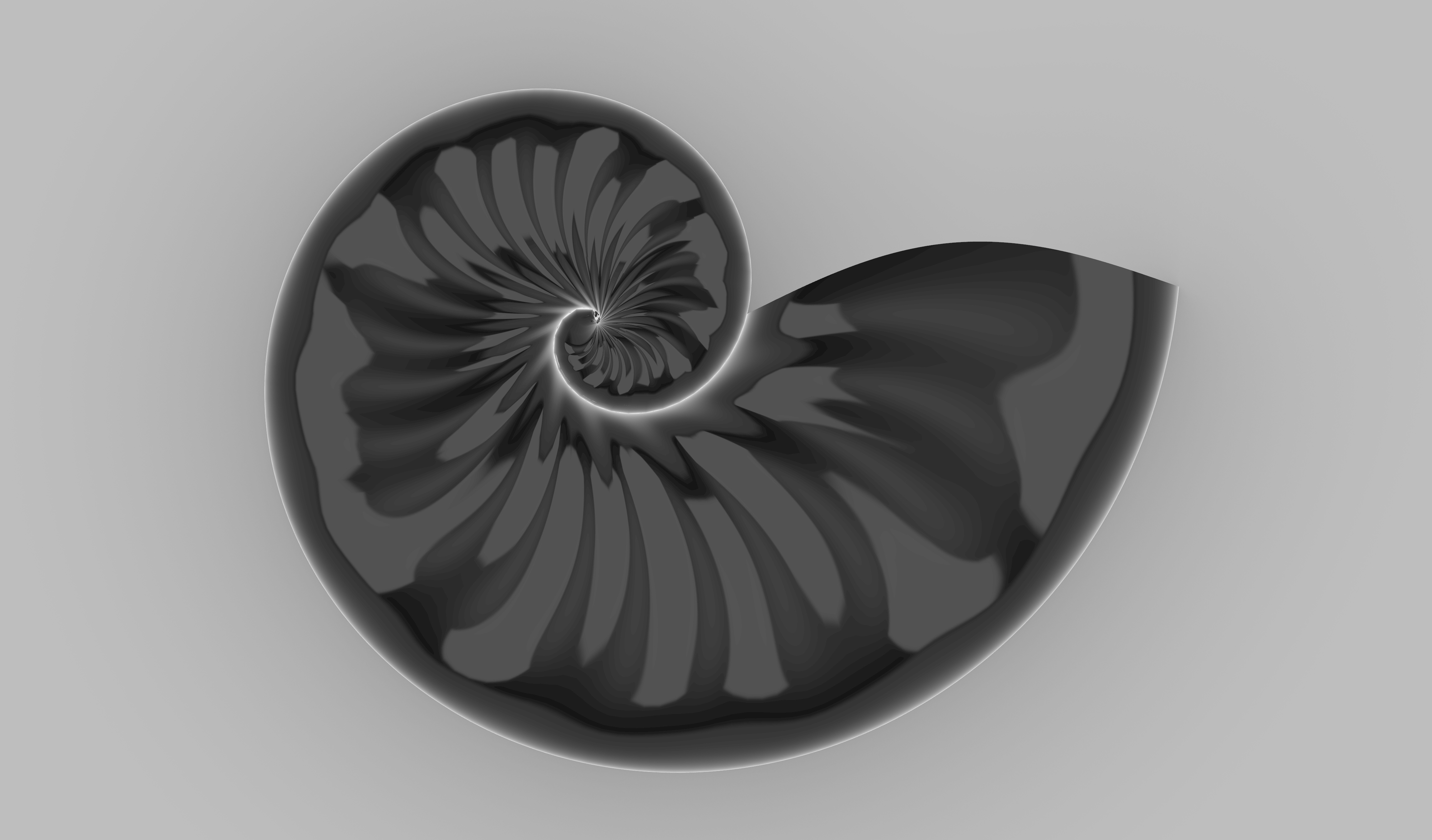 modèle 3D de Spirale de coquillage paramétrique - TurboSquid 1818569