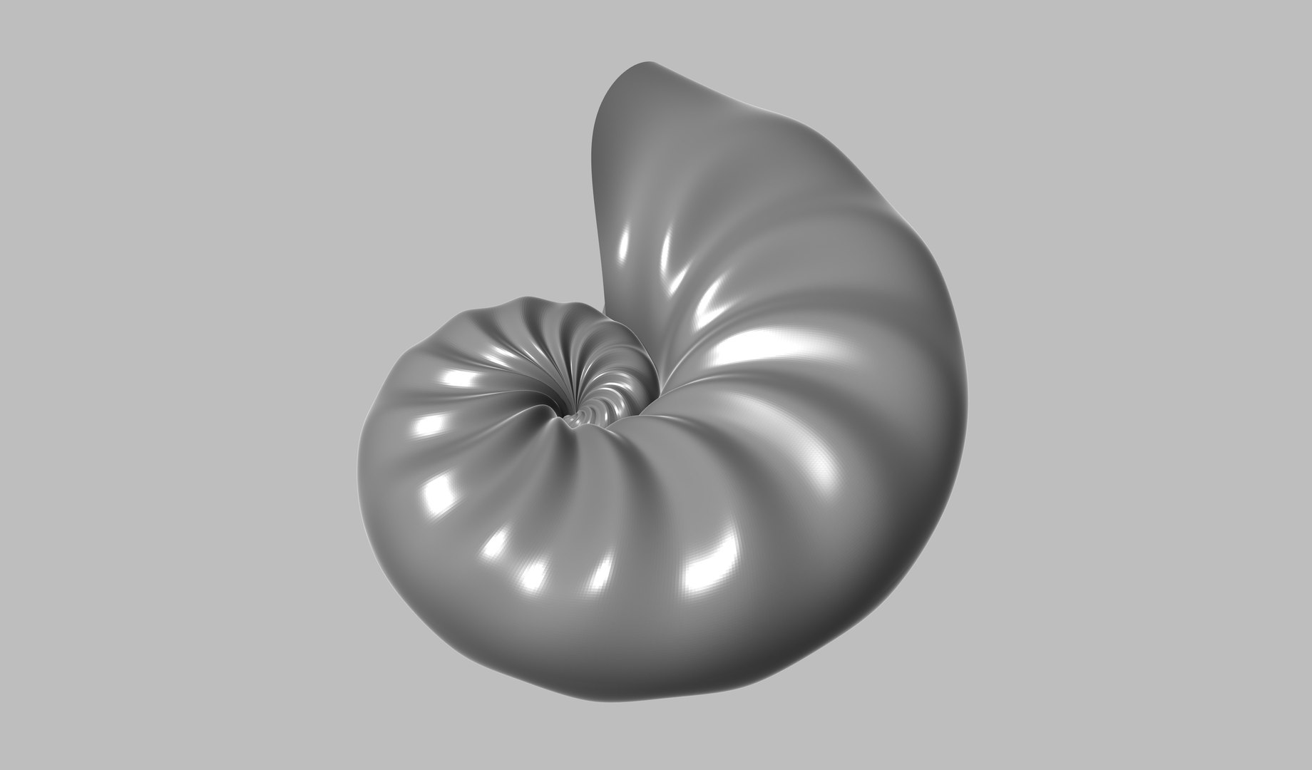 3D Parametric Seashell Model - TurboSquid 1818569